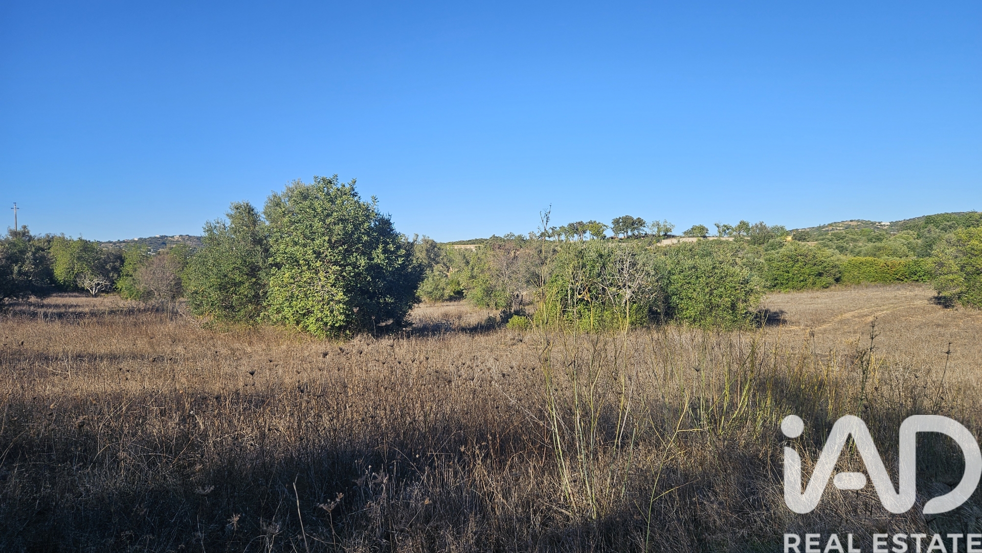 Sale land in Santa Bárbara de Nexe (8005-487): farm land 14,880 m² ...