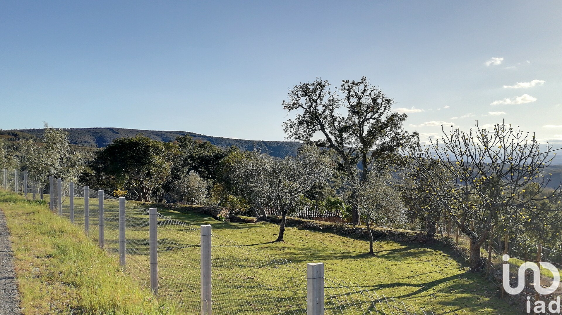 Sale land in Pedrógão Pequeno (6100-514): land 1,240 m² - 71809 - iad