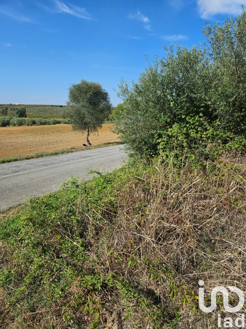 Sale land in Selmes (7960-158): farm land 4,750 m² - 105862 - iad